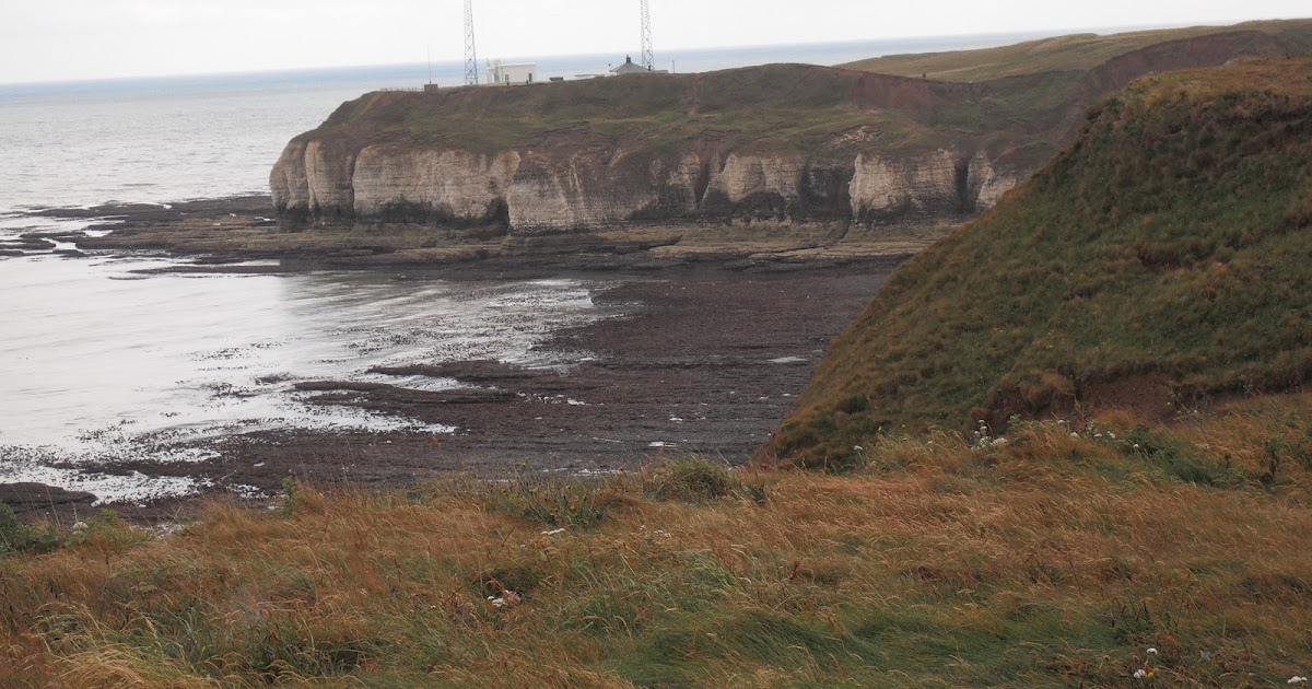 Walking the English coast - the easy way!: Walk 58 Flamborough Head to ...