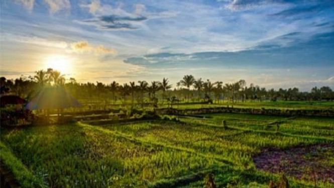 Desa Wisata Tetebatu Lombok - Dons Travel