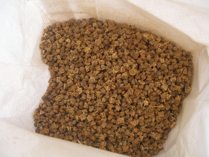 Thy Hand Hath Provided: Mangels to the Rescue