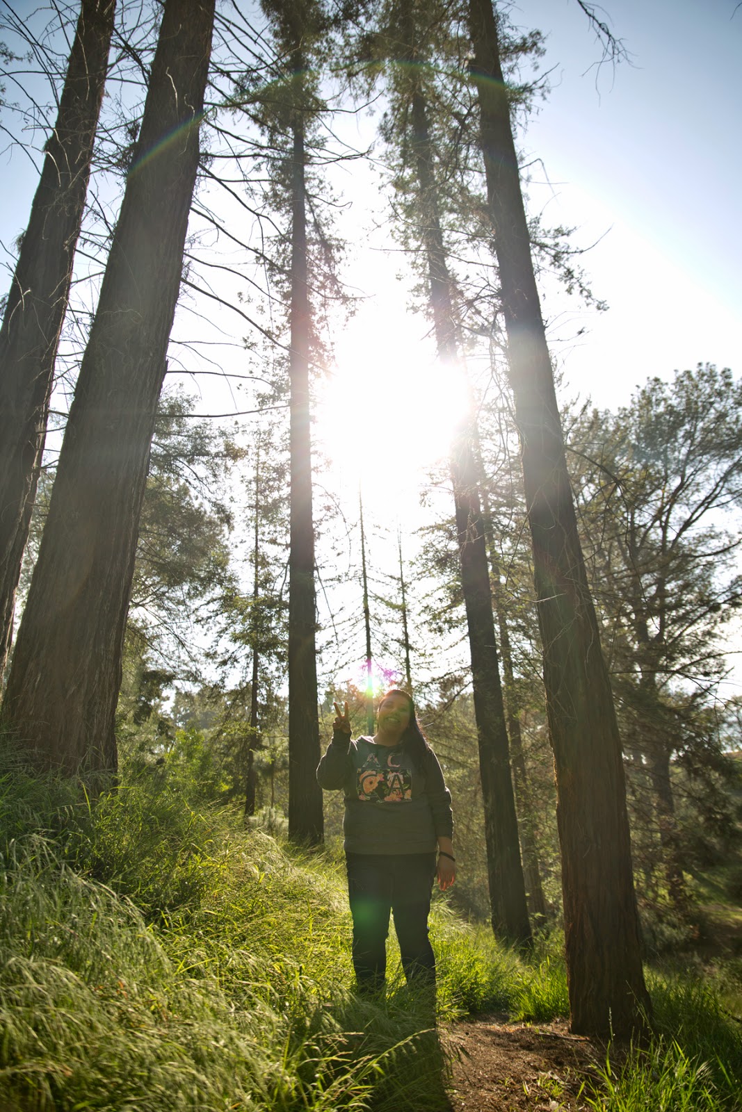 The Adventures of Ana : 112/365 - "Green Day" featuring Haylie Calvert