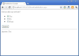 ASP.NET EXAMPLE: How to Create a RadioButton Control in Asp.Net