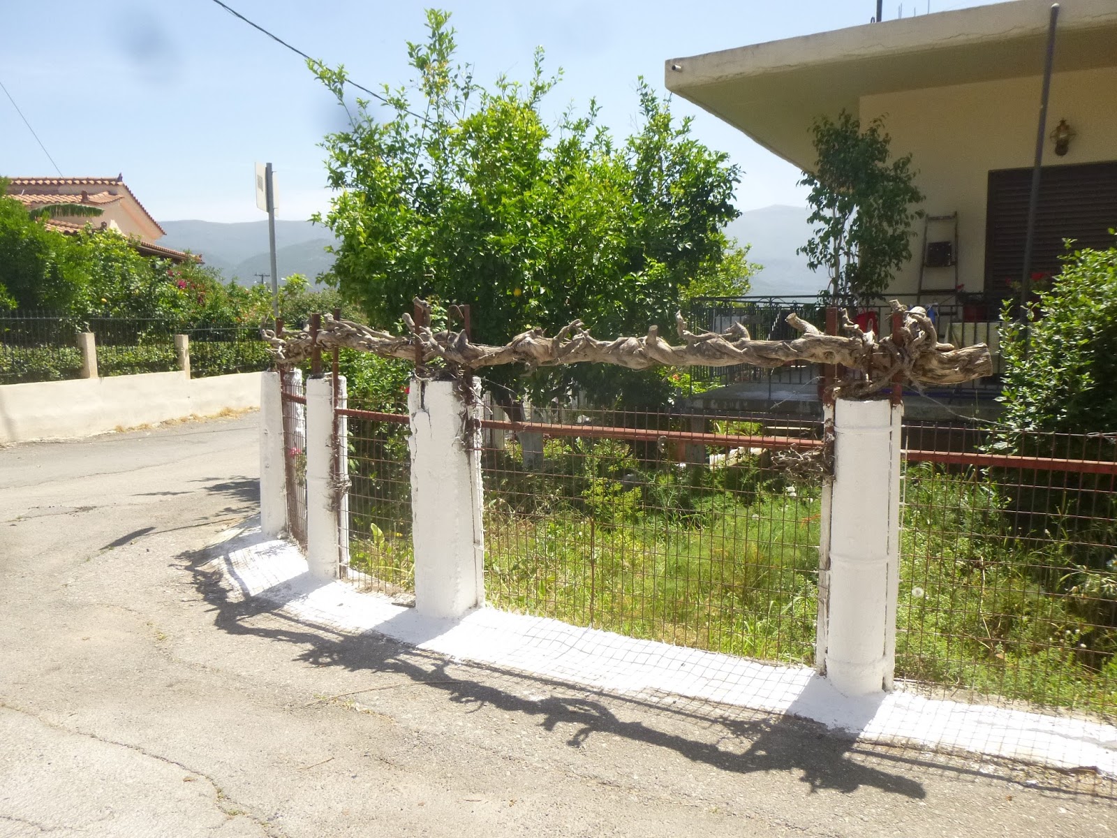 ΠΕΡΙΒΑΛΛΟΝ ΥΓΕΙΑ ΟΙΚΟΛΟΓΙΑ: ΟΤΑΝ ΘΕΛΕΙ Η ΦΥΣΗ ΚΑΙ Η ΖΩΗ. ΒΙΟΛΟΓΙΑ