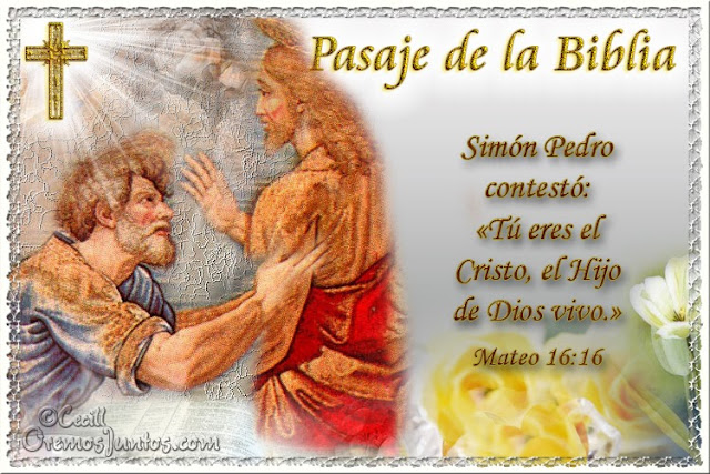 Vidas Santas: Santo Evangelio según san Mateo 16:16