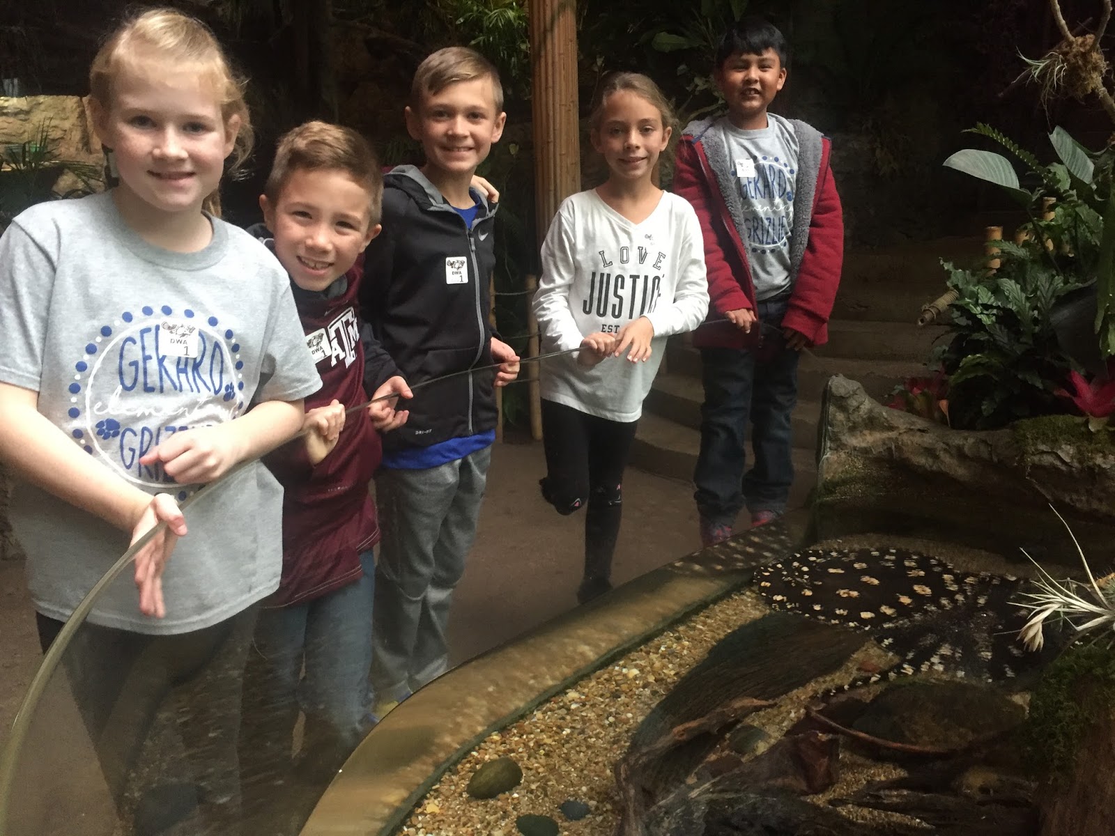 The Brown Family: 3rd Grade Field Trip to Dallas World Aquarium