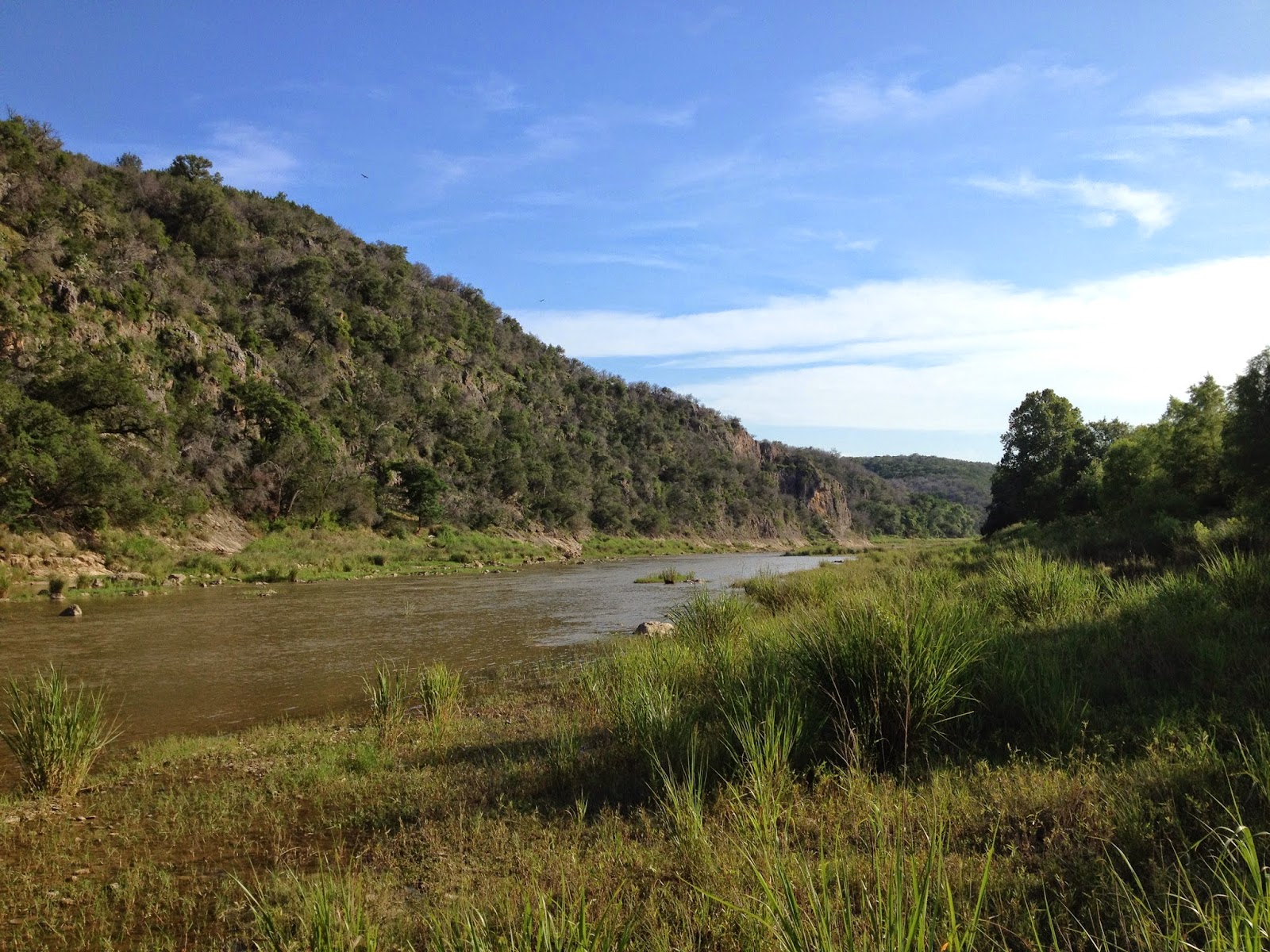 Somewhere In The Middle of Texas: Texas Rainforest