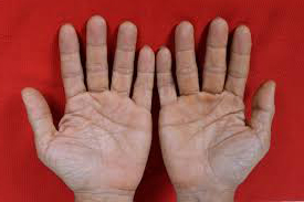 When The Lines On The Hand Change? Palmistry ~ INDIAN PALMISTRY | PALM ...
