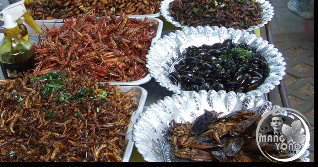 Di Thailand masakan ekstrim Serangga Goreng laris diserbu pembeli