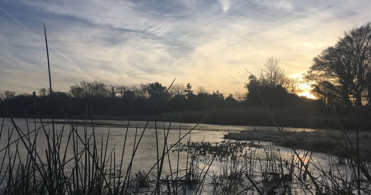 Horsham Wildlife: Warnham Local Nature Reserve