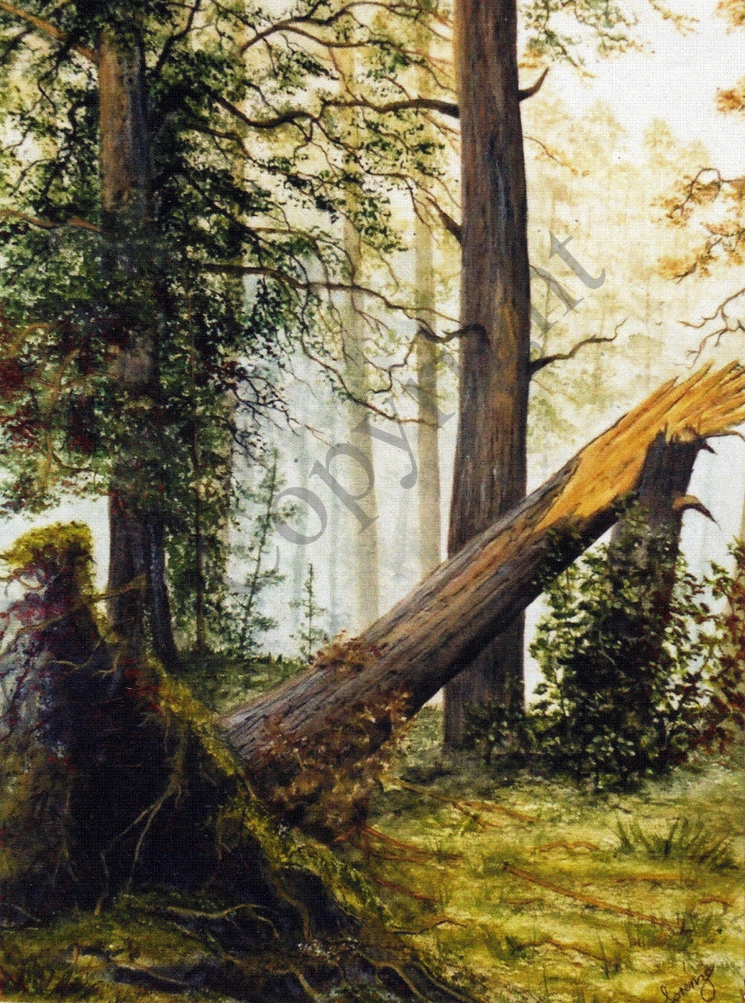 Lorenzo Barron Artist: Watercolour