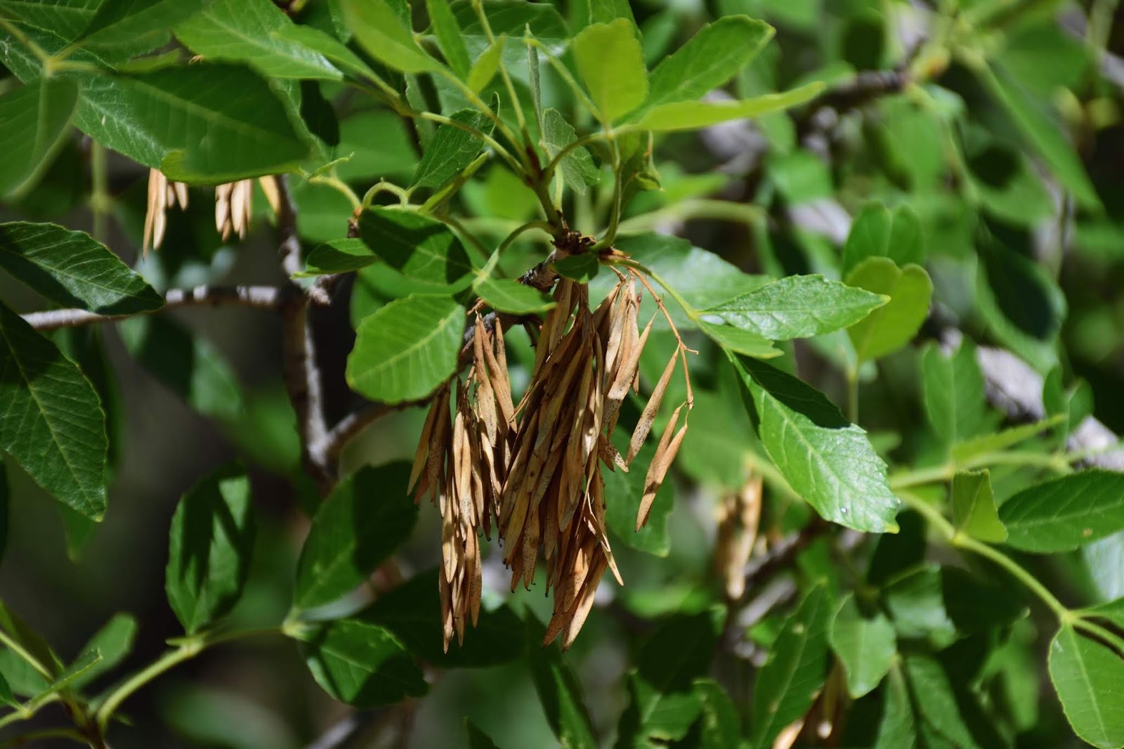 Curiouser and curiouser: 2018