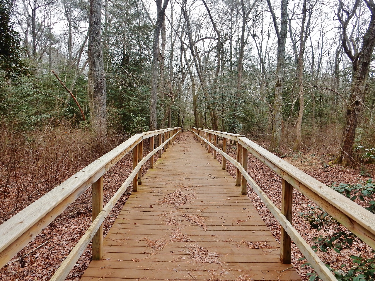 Natural Mid-Atlantic : DE Redden State Forest: Georgetown Tract, 5 Mile ...