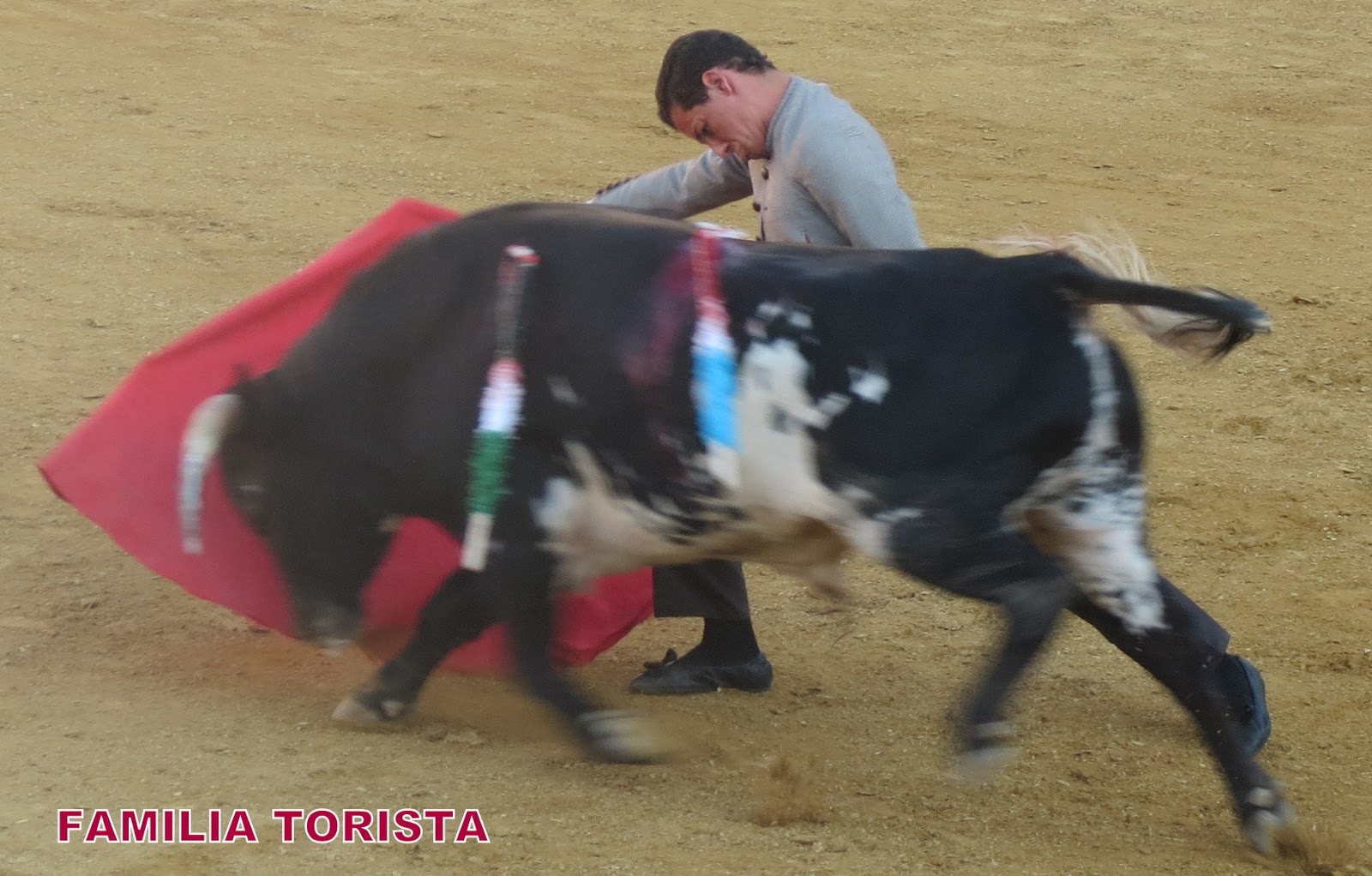 TOROS DEL CONDADO S.L: LOS NOVILLEROS, JOSÉ IGNACIO RODRÍGUEZ Y JIMÉNEZ ...