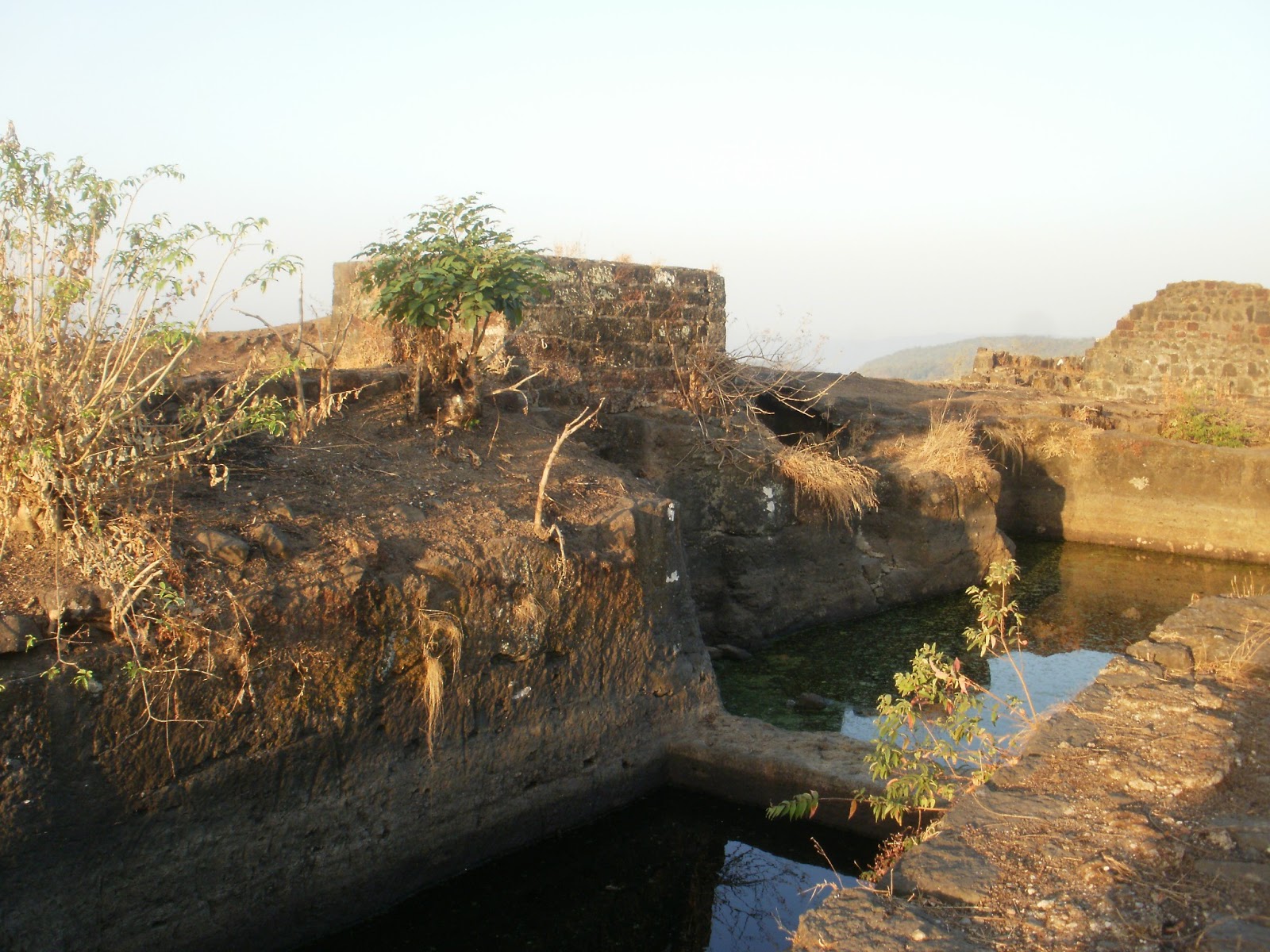 Anurag's Corner: AvchitGad-Birwadi Fort-GhosalGad-TalaGad-Kuda Caves ...