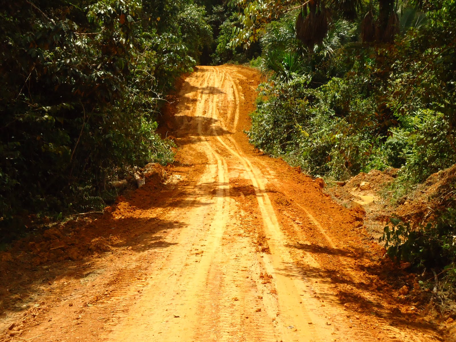 Bem Vindo!!! Prefeitura de Apuí: Fotos da Vicinal Zeni II.