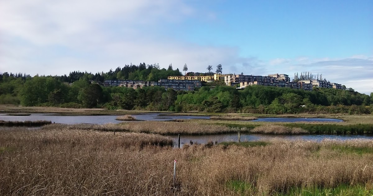 Edmonds marsh
