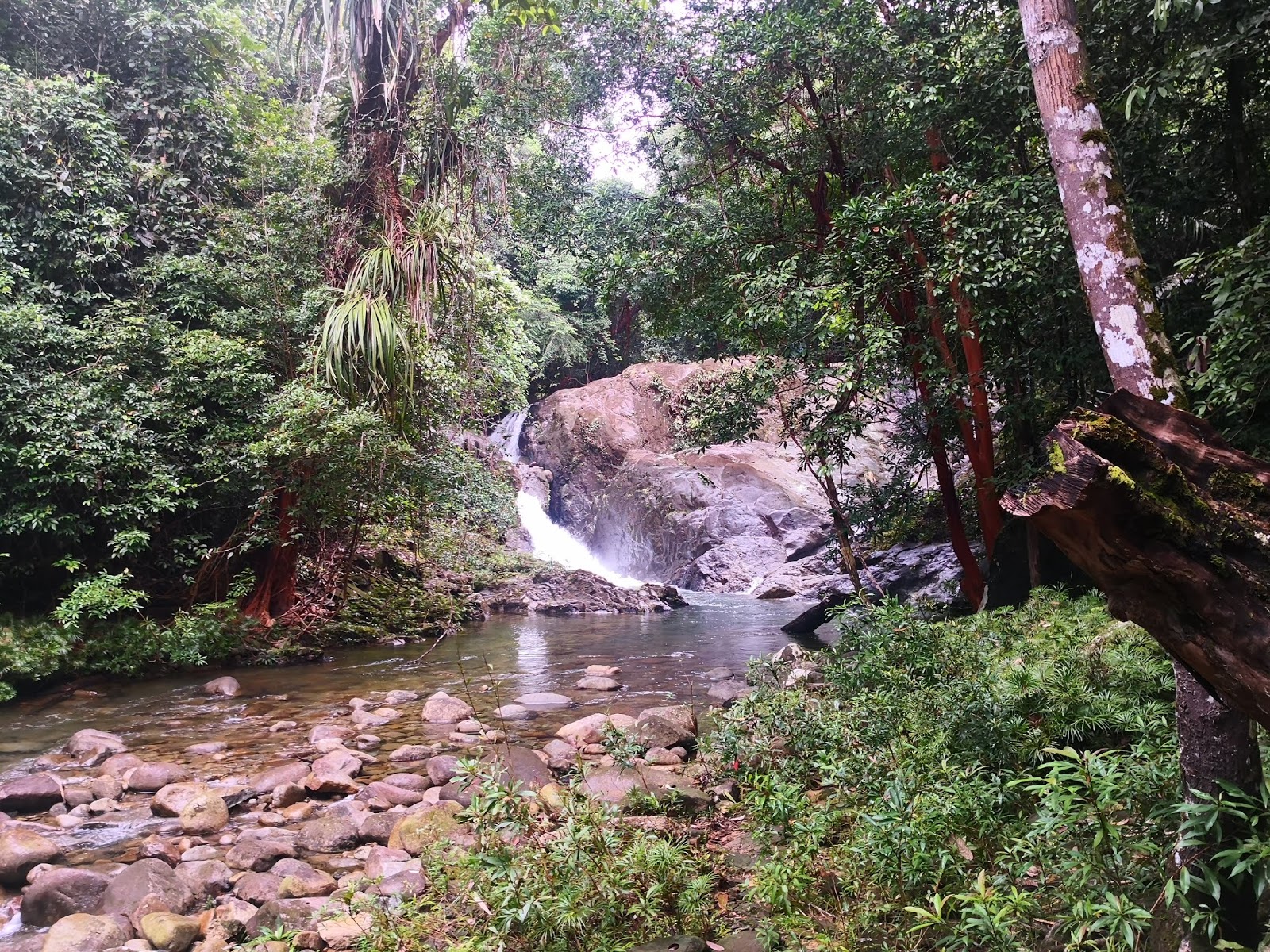 AZLAN RUMADI: HUJUNG MINGGU DI ECO-TOUR JUNGLE TRACKING WATERFALL SEBAT ...