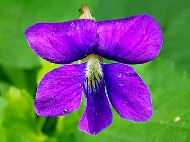 Awakenings: Rhode Island: Spectacular in the Fall