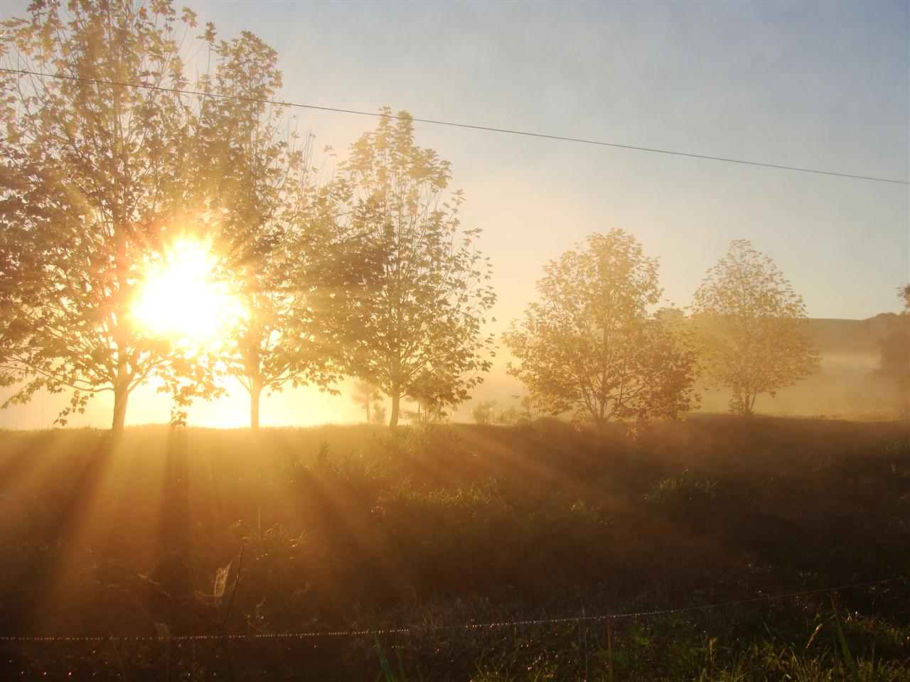 Na Trilha do Castelo: Luz do Sol - A fonte mais elevada de nutrição