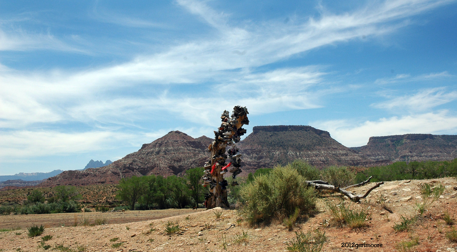 Happy Trails: SHOE TREE