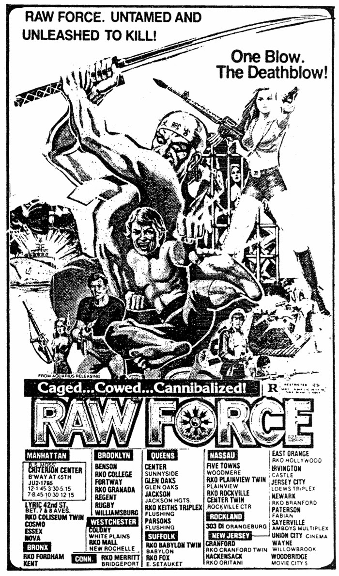 TEMPLE OF SCHLOCK: Movie Ad of the Week: RAW FORCE (1982)