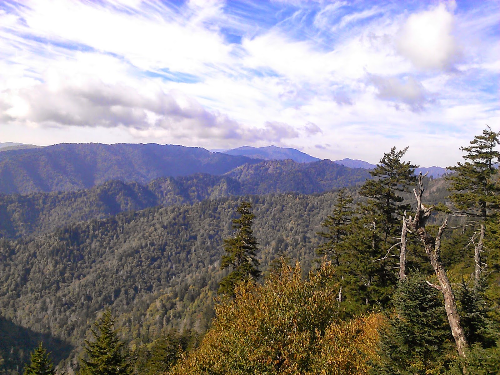 Hikes: AT (NFG to Snake Den) - Snake Den