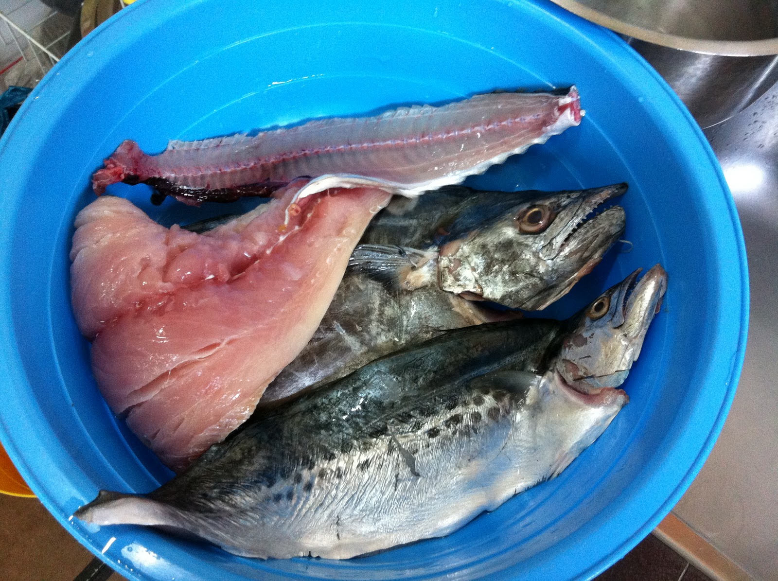 The Right to Be Alive: The Making of 'Chemical-Free' Fish Balls