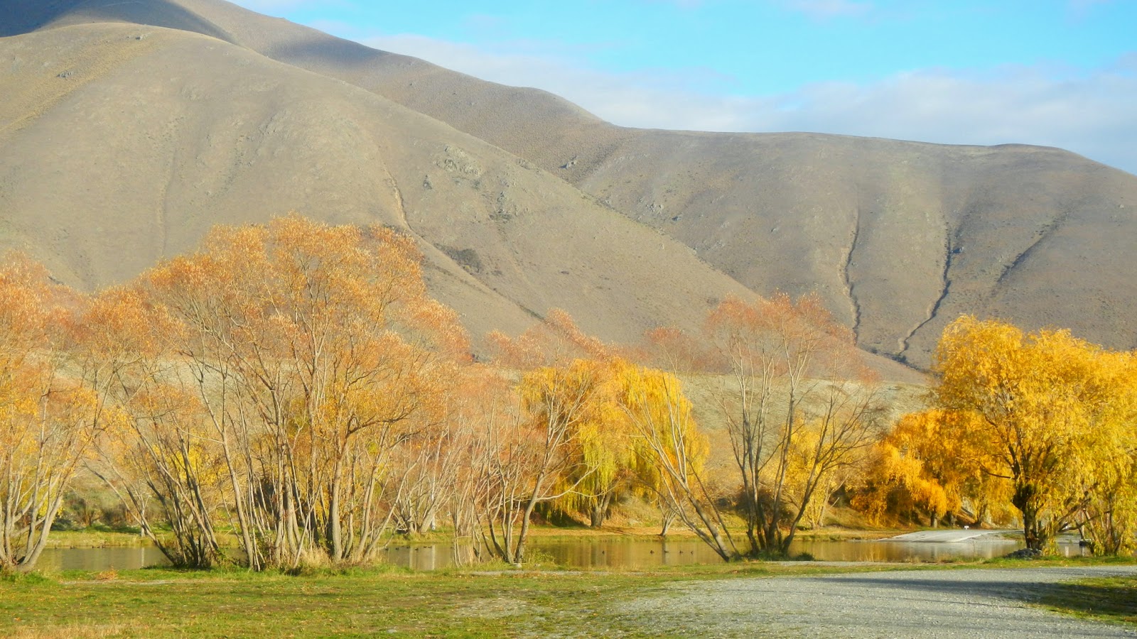Licorice Allsorts: Ohau C Camping Ground
