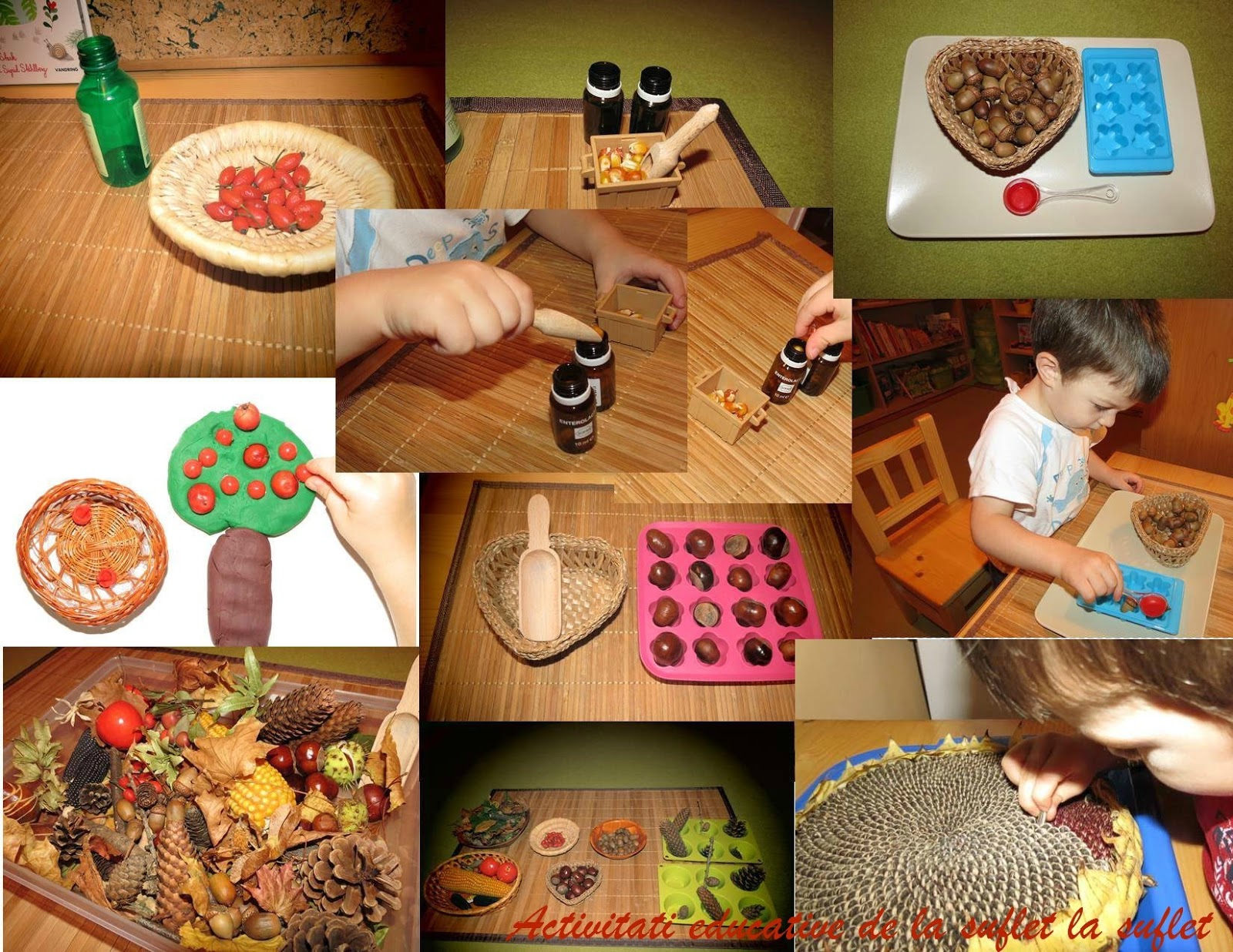 Activitati educative de la suflet la suflet: Activitati cu fructe de ...