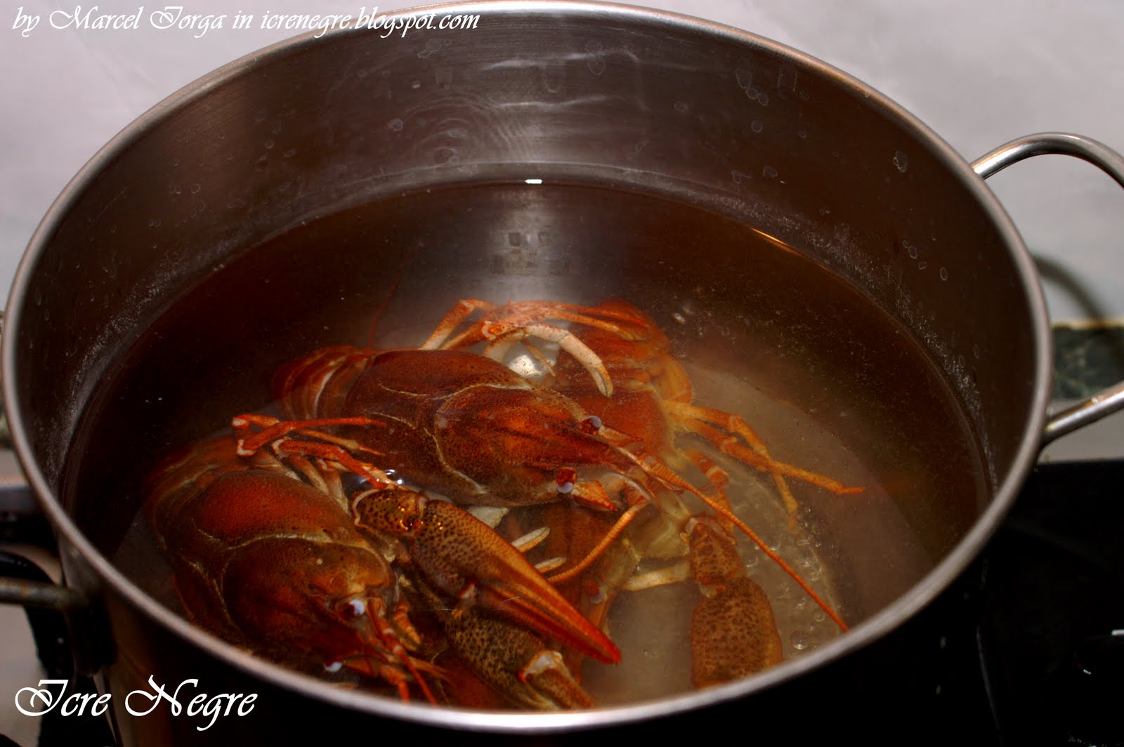 Icre Negre: Raci fierti si serviti cu sos "O Mie de Insule"