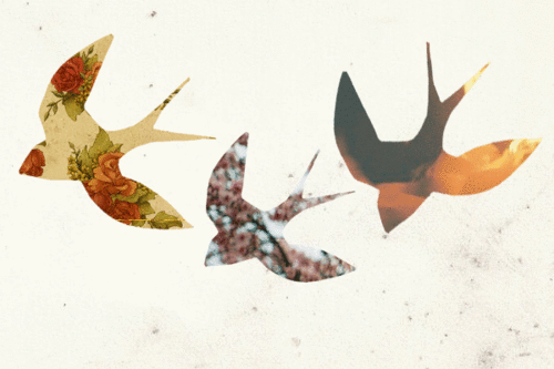 Montana Roué: 7th Day Surprise: Flipping the bird