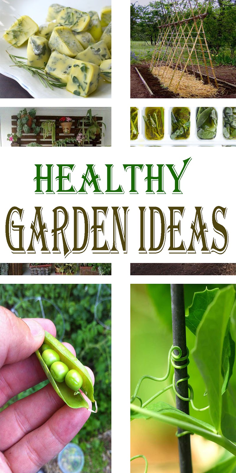 Healthy Garden Ideas - Pinterest Gardening