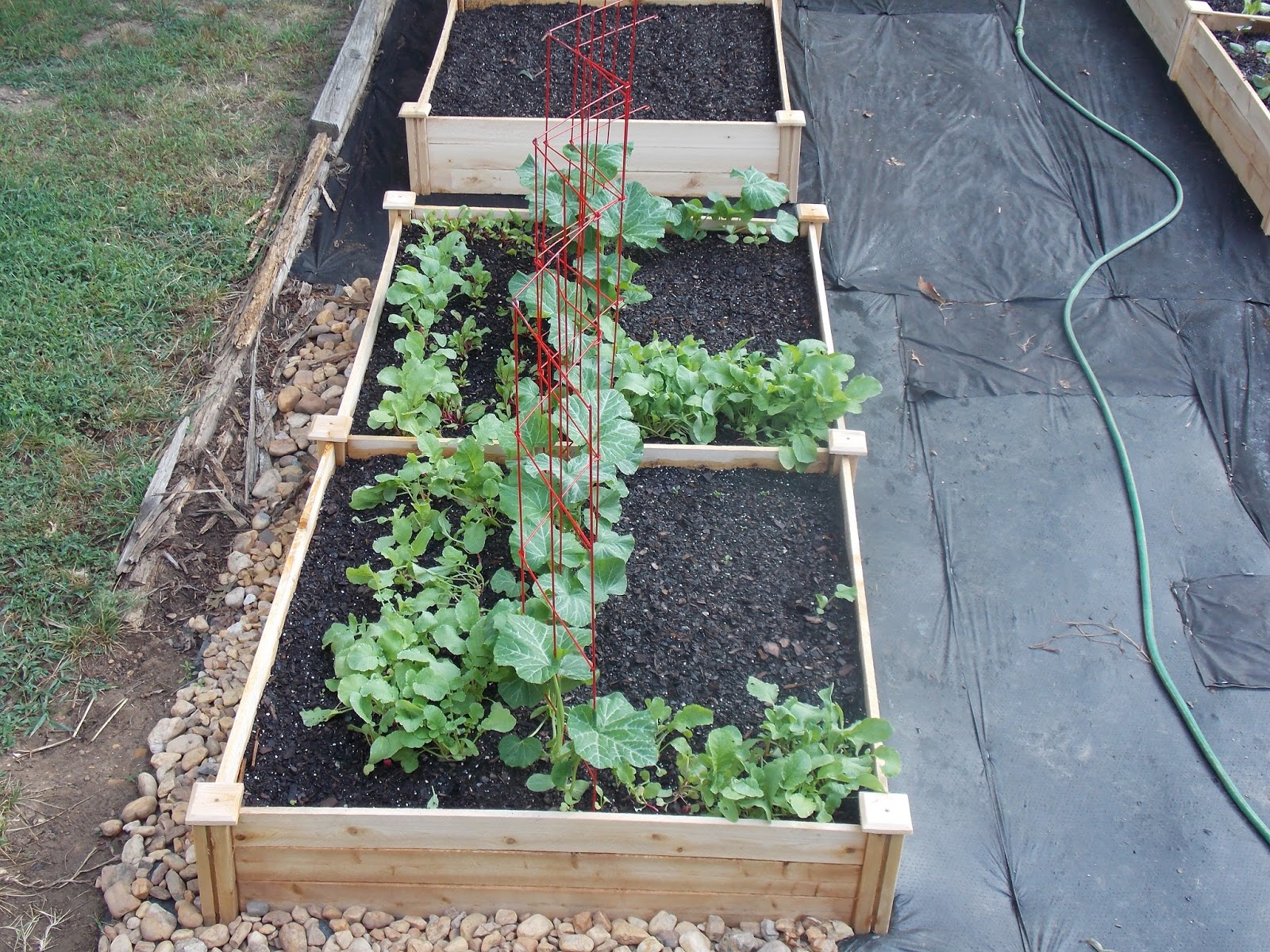 MyPetitBisous: Four Square Garden