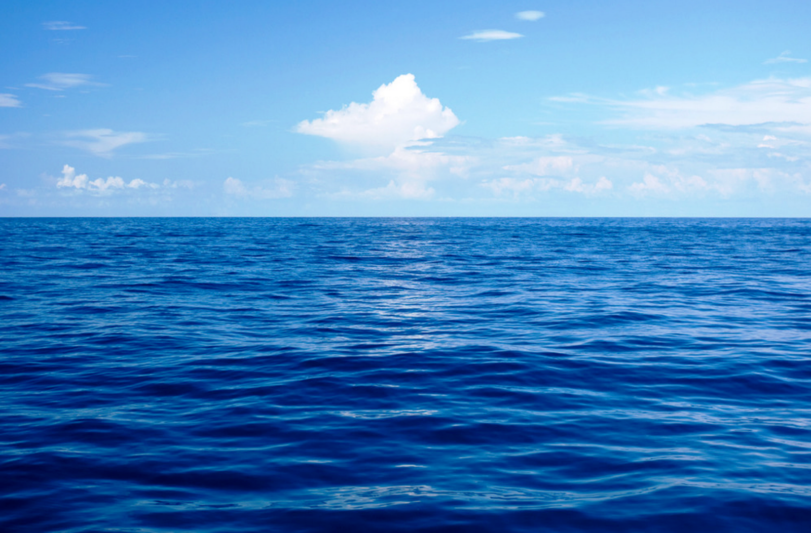 El hilo de Ariadna: Mi primera vez en el mar El hilo de Ariadna: Mi primera vez en el mar