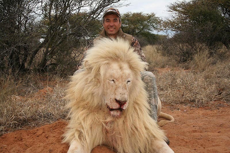 10 Dangerous Exotic Pets in the World that Terrifying the Society