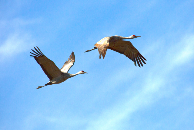 Dinh Le photo: Tung Canh Chim Bay Ve to Am