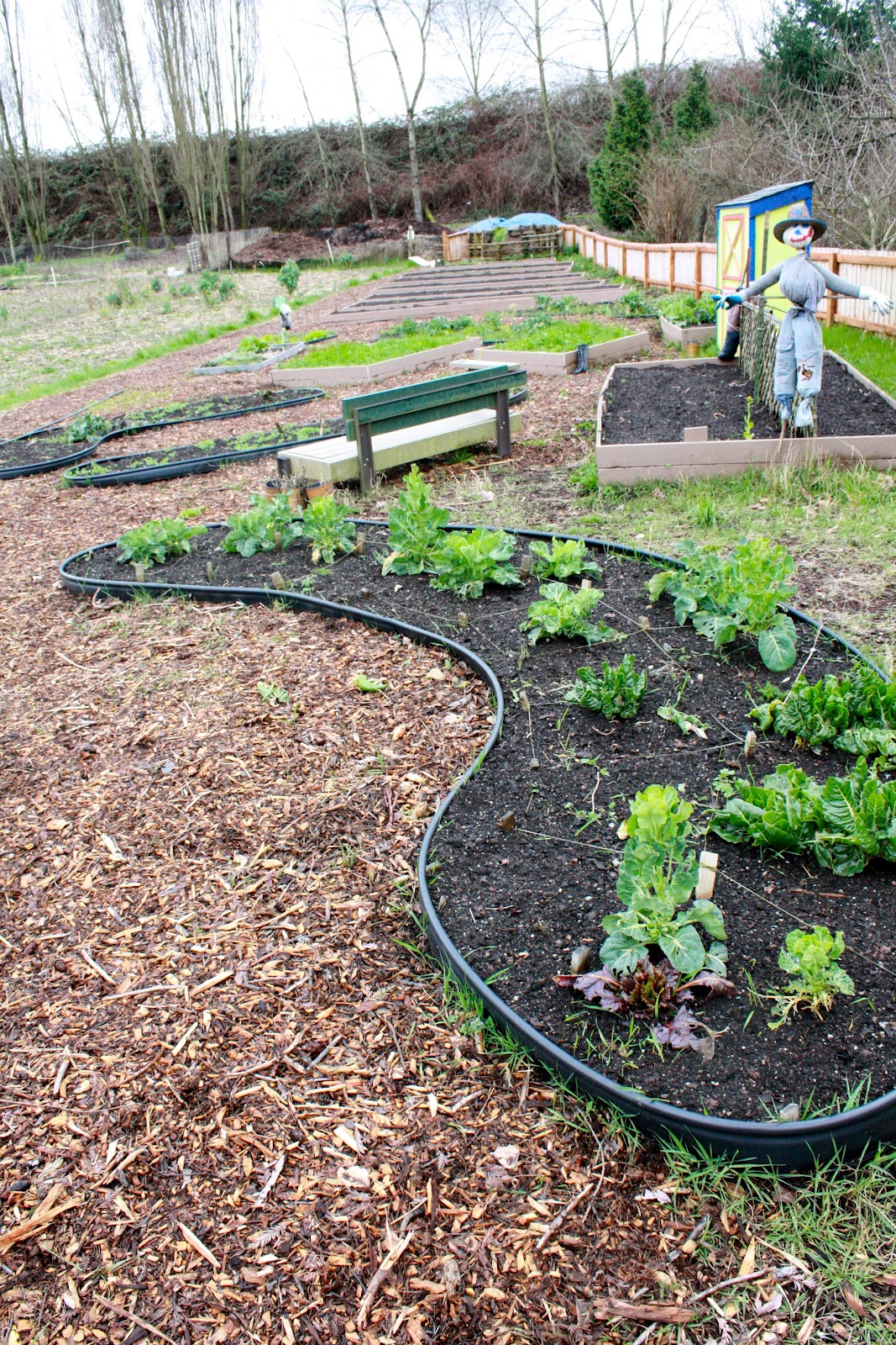 Washington Food Coalition News: Meet Our Members: Marra Farm's Giving ...