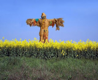 Shenanigans: The Art & Musings Of An Eccentric: Scarecrow