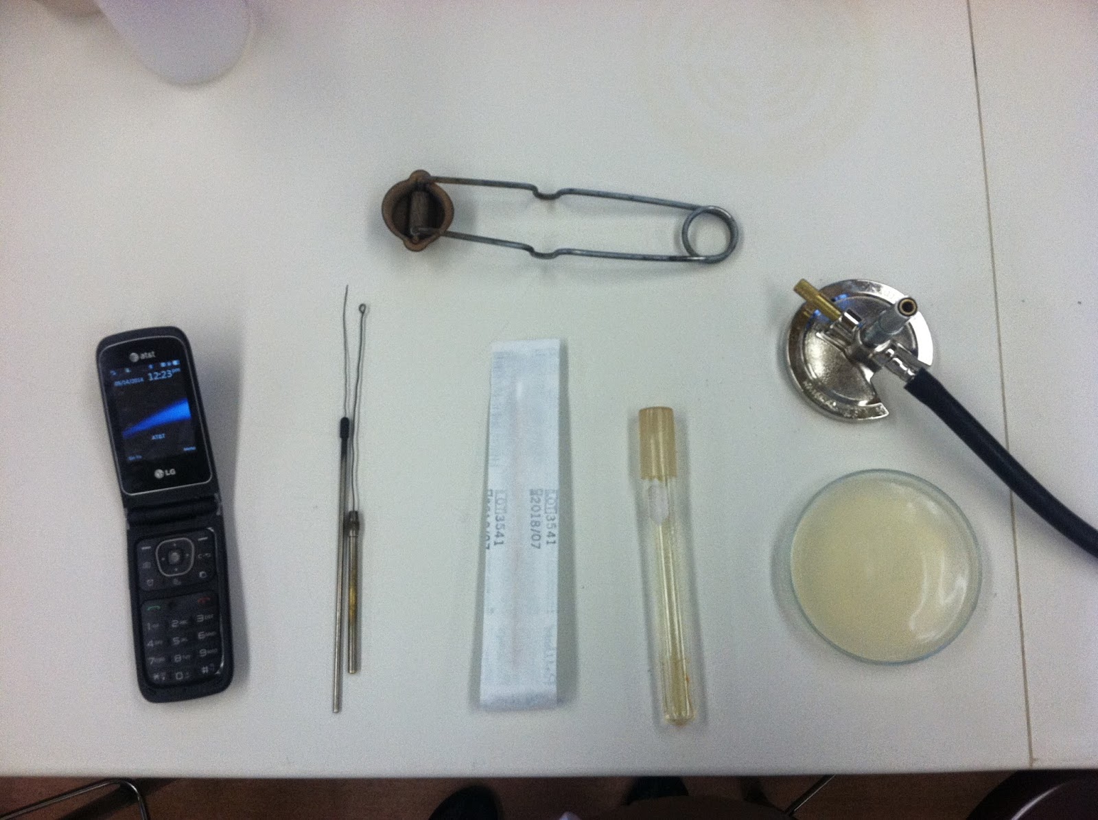 Lab Research for Mini Session Microbiology at Franciscan University ...