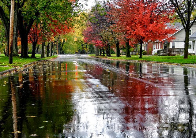 Closet Calling!: December Rain