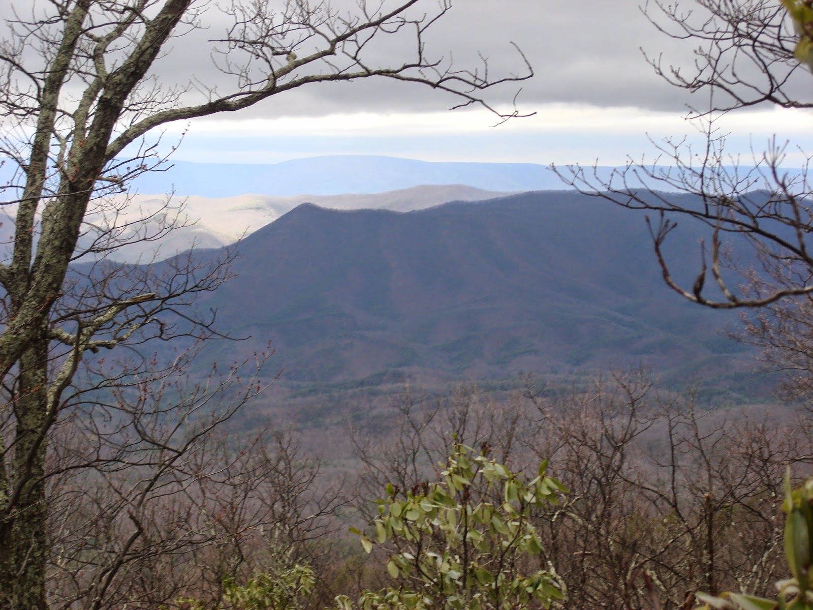 Wandering Virginia: Rough Mountain Wilderness Bushwack