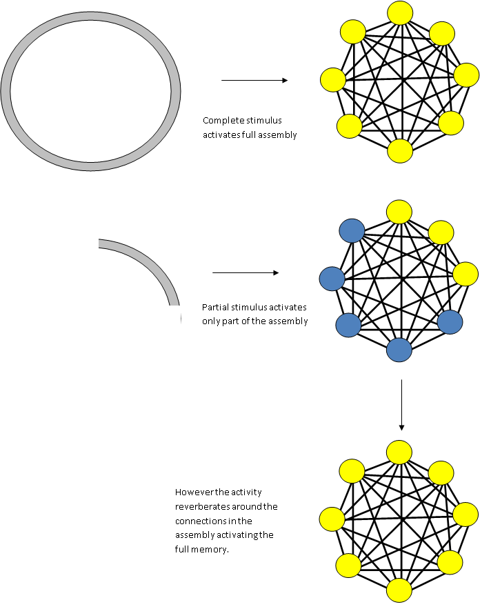 Brains, Blogs and Behaviour