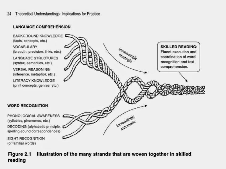 Thing Finder: Visualizing the eight skills contributing to skilled reading