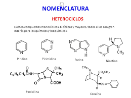 QUÍMICA ORGÁNICA BÁSICA