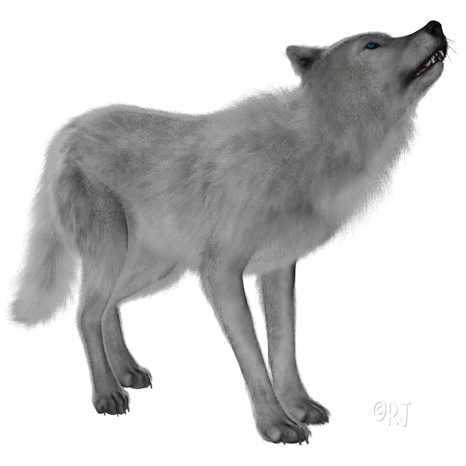 RJs Bits Bobs Props & Pieces: Wolf Pack