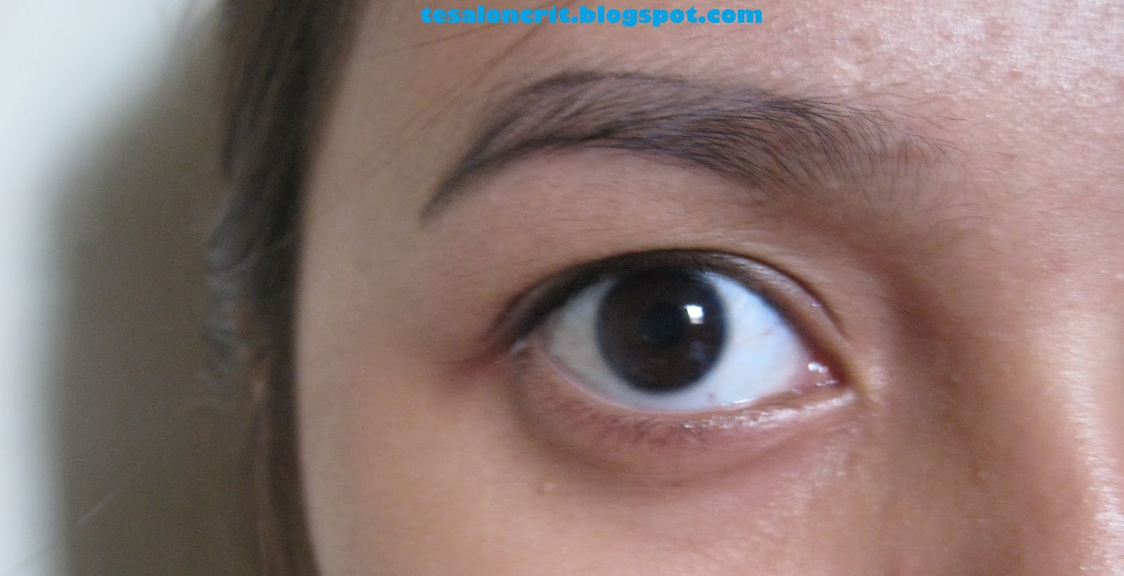 Tesaloncrit : Nike Tesalonica : Brow Tutorial ~ using Nyx Eyebrow Cake ...