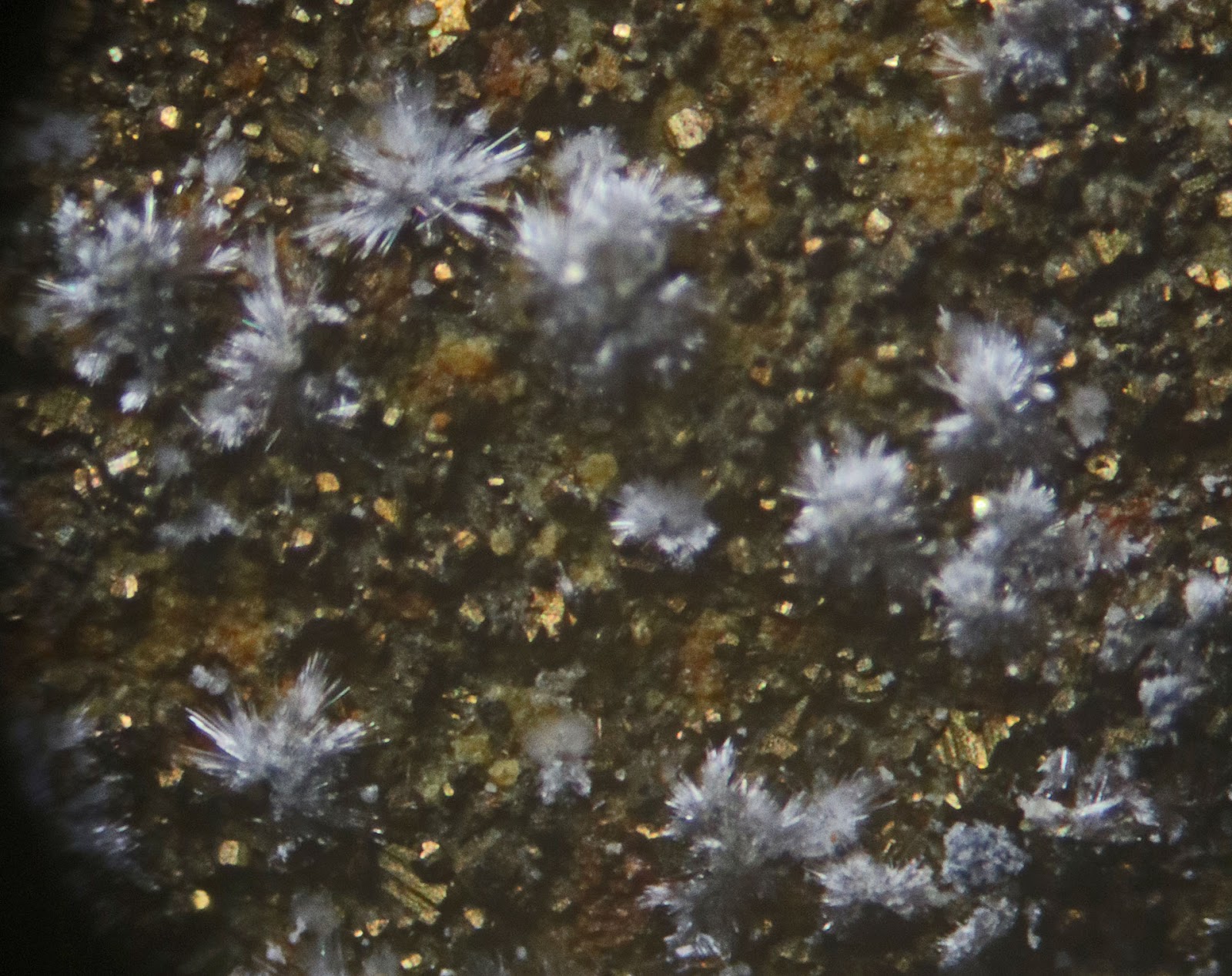 Poppular Photography: 2018