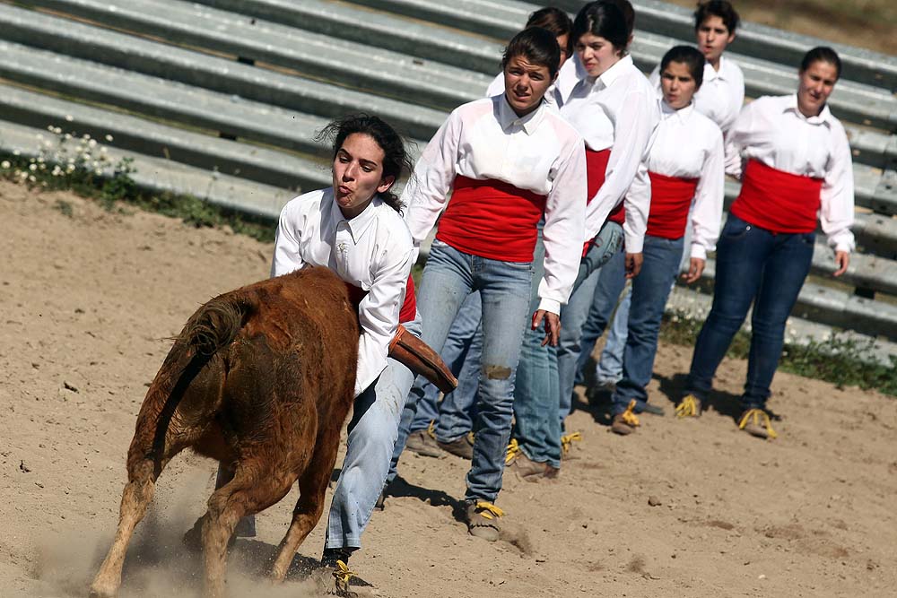 Cá do Alentejo: "Forcadas" de Benavente - O treino
