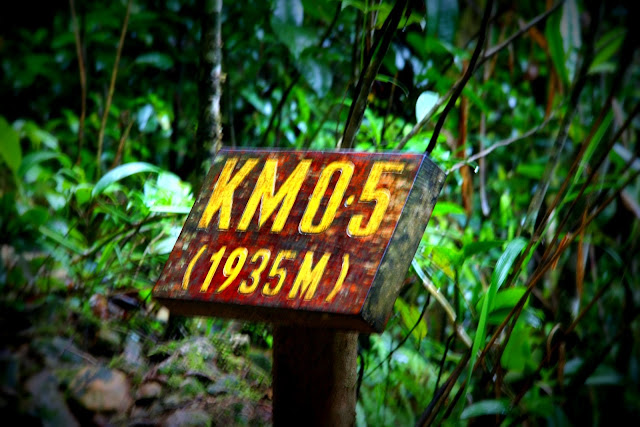 Climbing Mt Kinabalu: Timpohon Gate to 1.5km