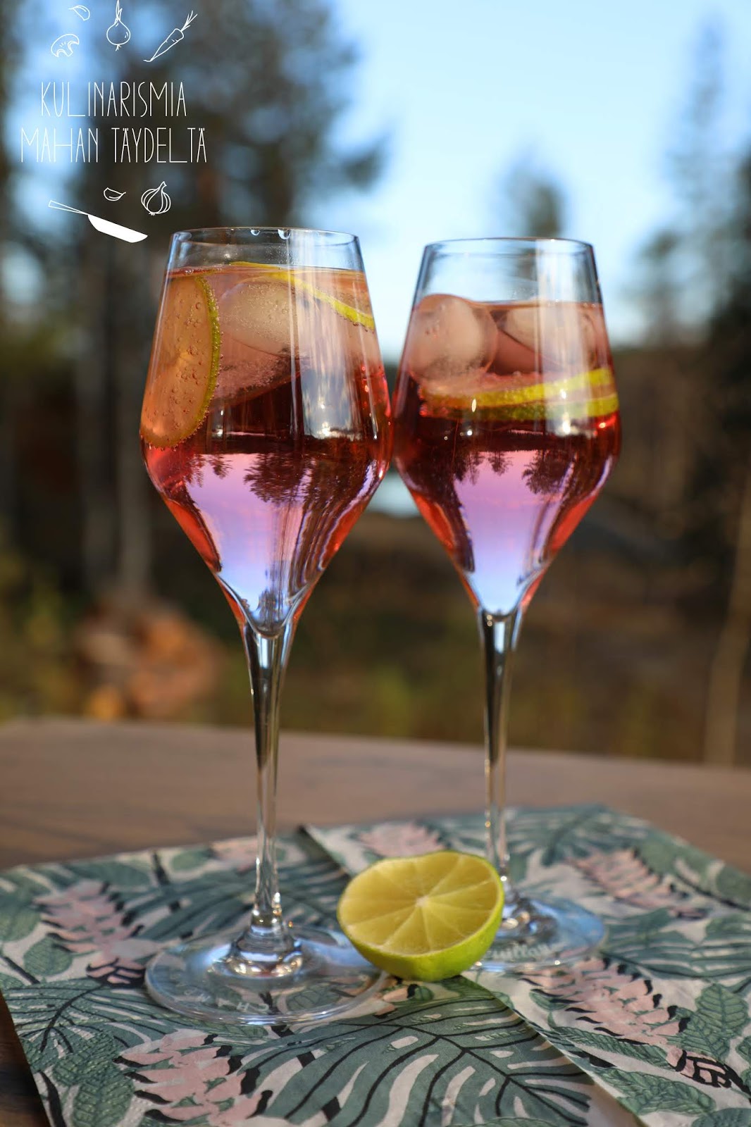 Muumilimuspritzer | Kulinarismia mahan täydeltä