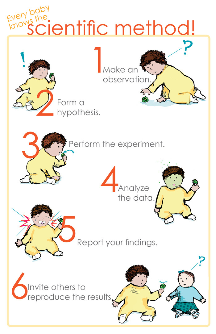 Foothill College Physical Geography: The Scientific Method - Every Baby ...